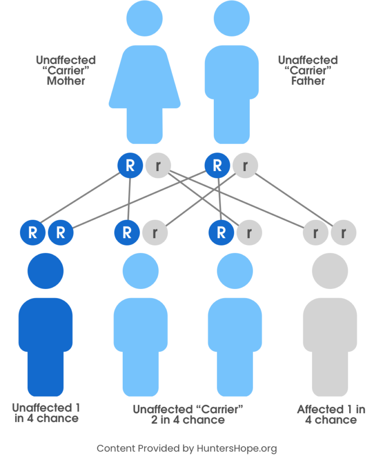 Krabbe Facts | Education for Families | Krabbe Disease